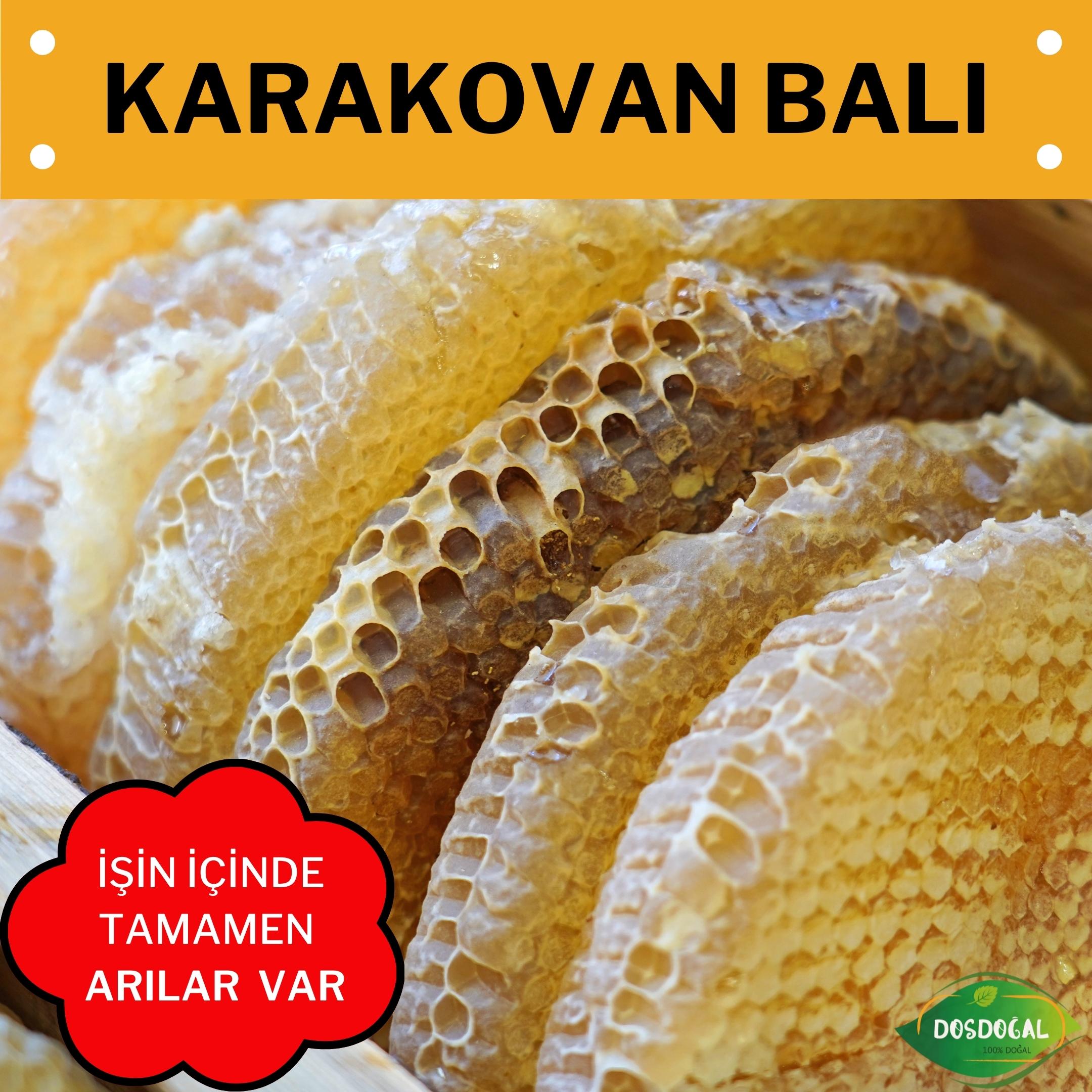 Tunceli Karakovan Balı